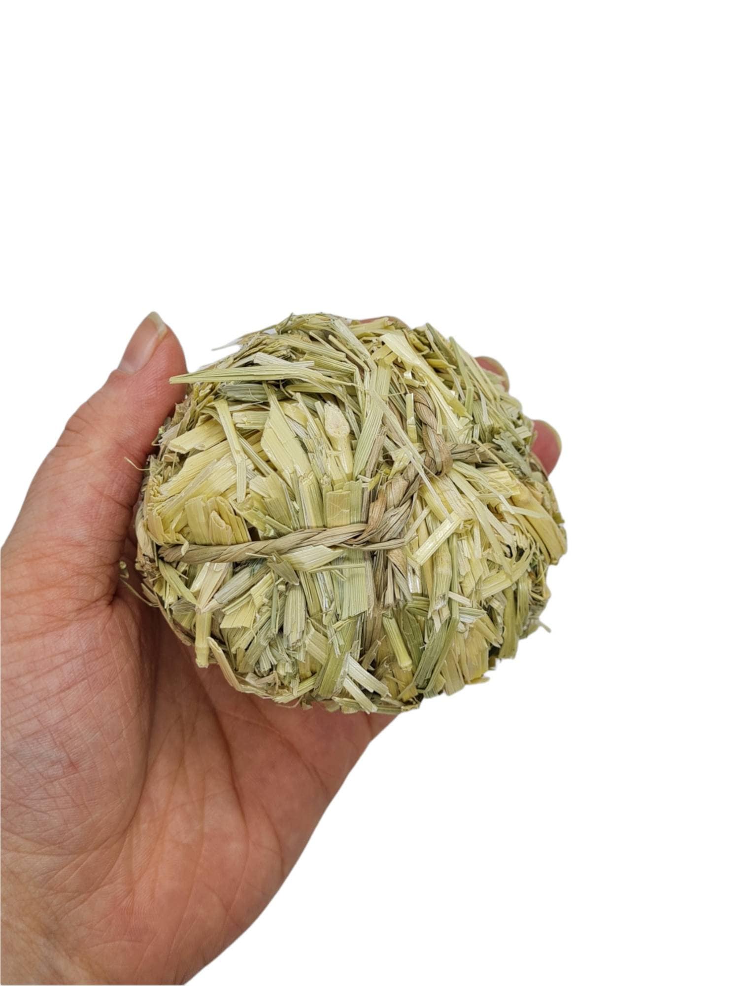 Timothy Ball – Luxury Bunny Bakery